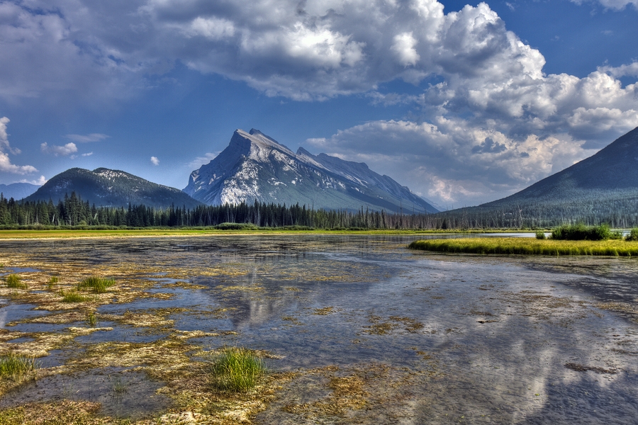 Natural Landscapes - 2009